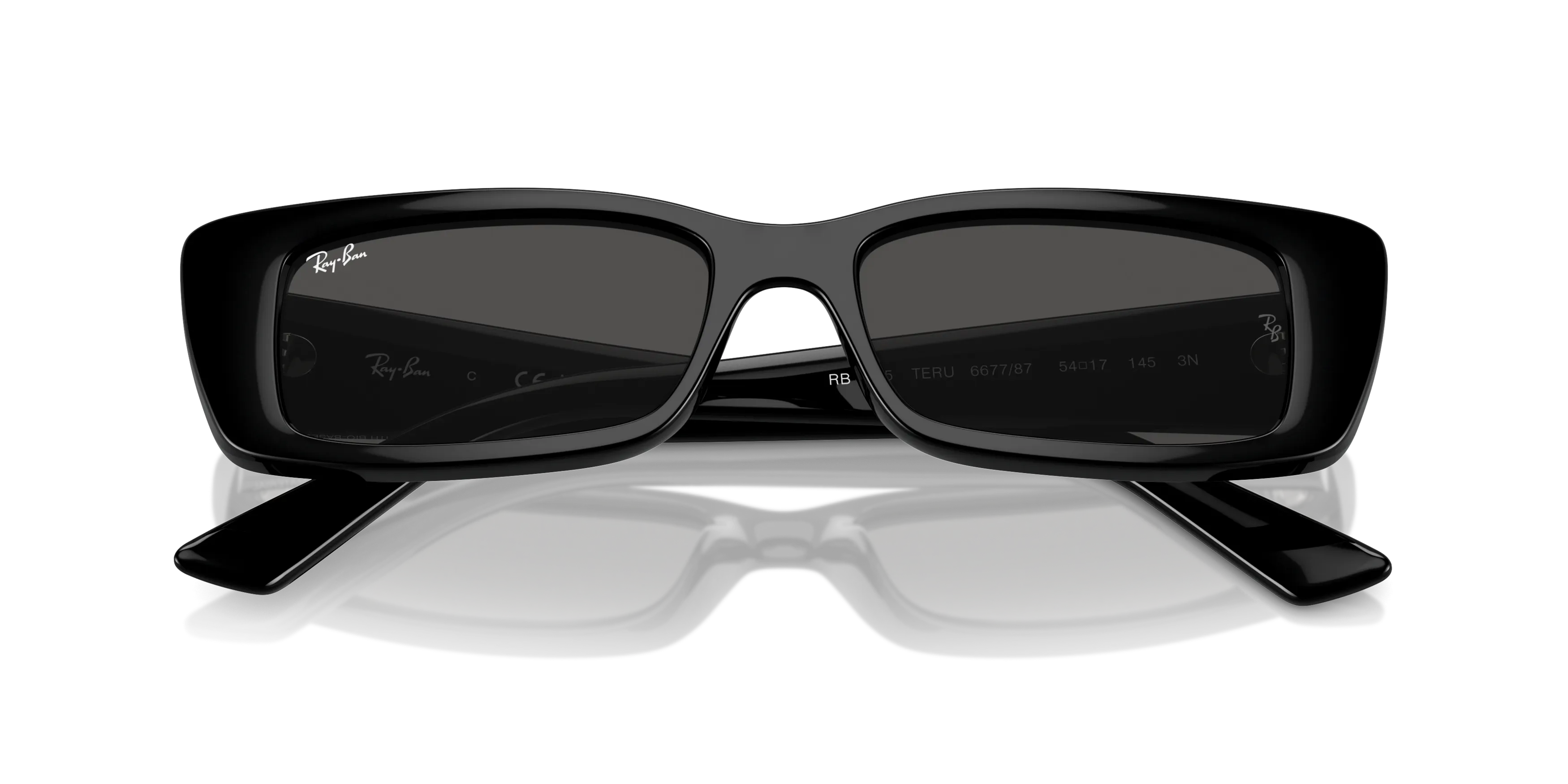 Ray-Ban Teru Bio-Based RB 4425 (667787) Sunglasses | Vision Express