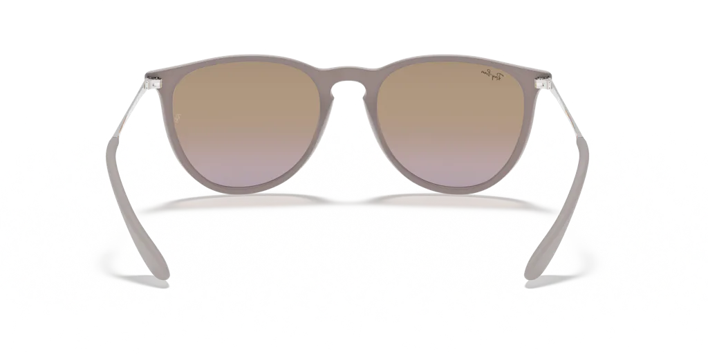 Ray-Ban Erika Classic RB 4171 Brown frames | Vision Express