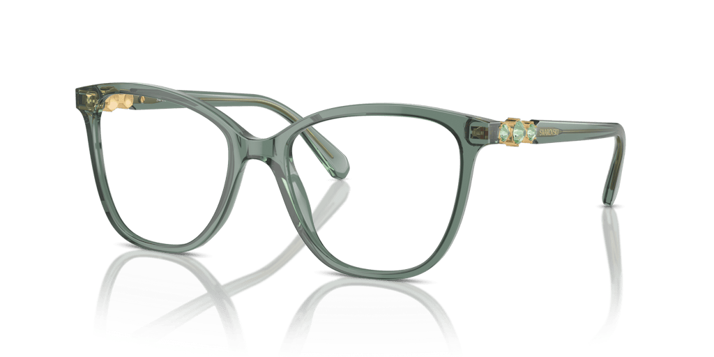 Swarovski Glasses - SK 2020 | Vision Express