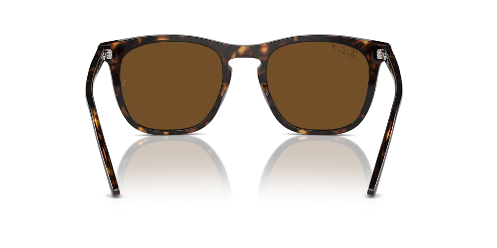 Ray-Ban Sunglasses - RB 2210 | Vision Express