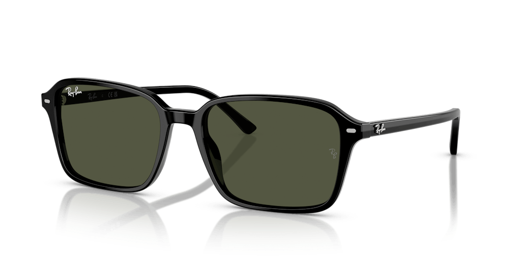 Ray Ban Raimond RB2231 14183358 Sunglasses | Vision Express