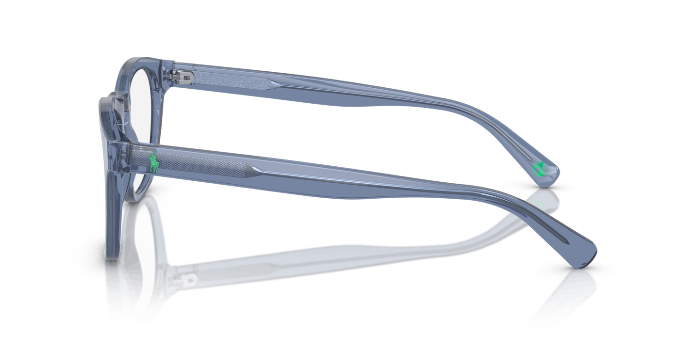 Polo Ralph Lauren Glasses - PH 2258 | Vision Express