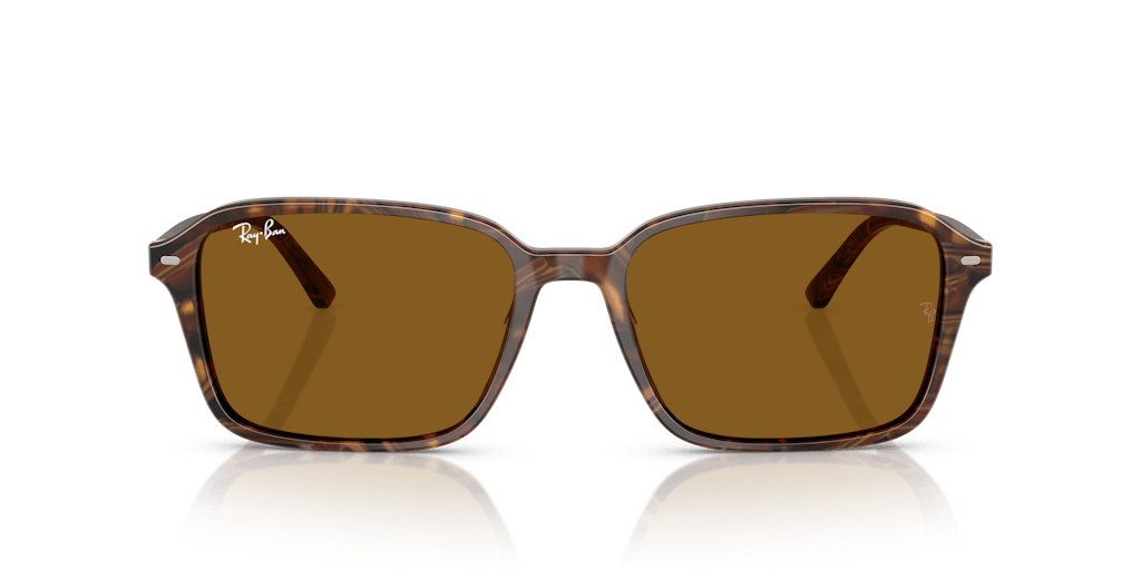 Ray Ban Raimond RB2231 14183358 Sunglasses | Vision Express