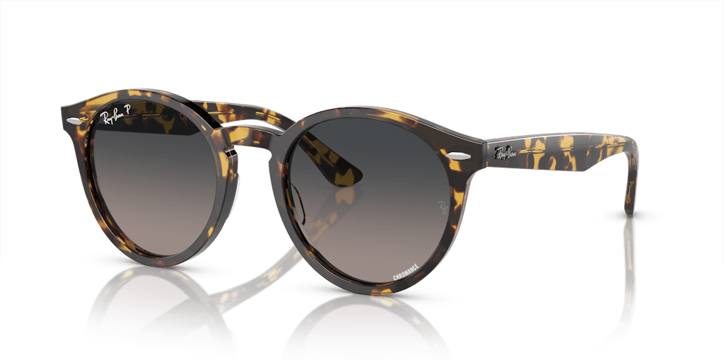 Ray-Ban Larry RB7680S 1332GL | Optica 2000