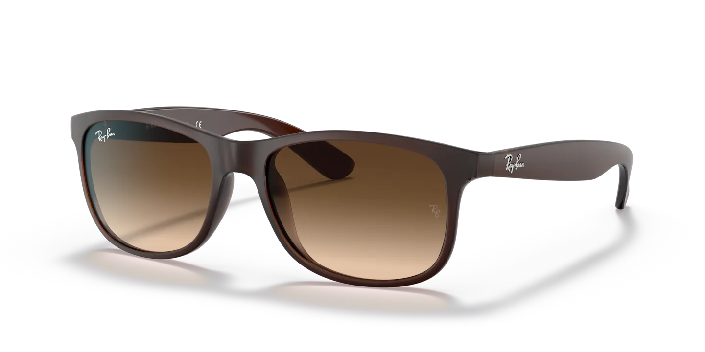 Ray-Ban Andy RB 4202 Black Sunglasses | Vision Express