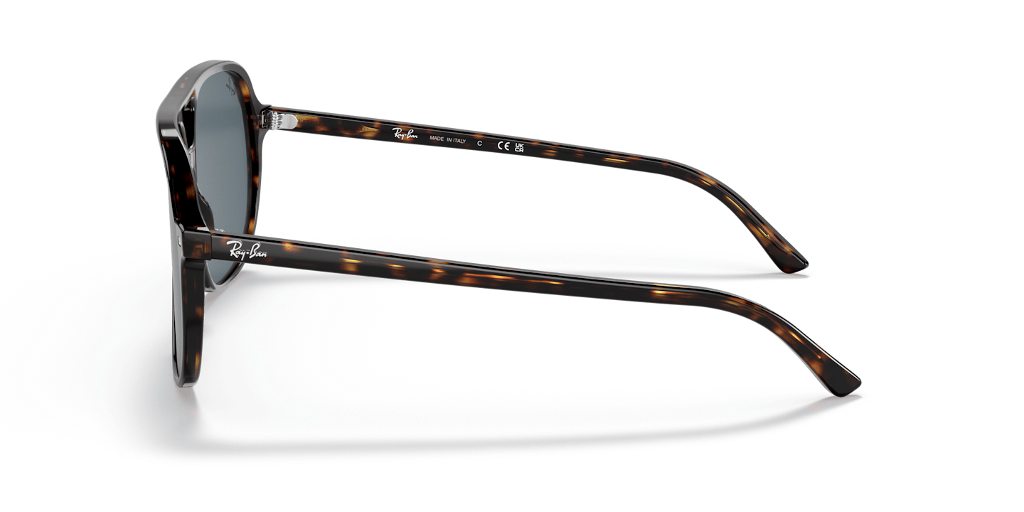 Ray-Ban Bill RB 2198 Sunglasses | Vision Express