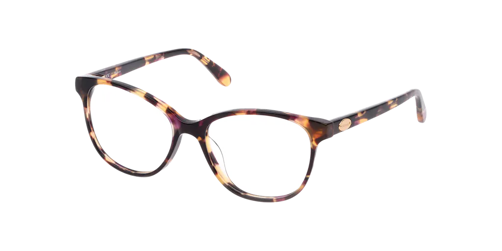 Mulberry Glasses VML 017 | Tortoise Shell Frames | Vision Express