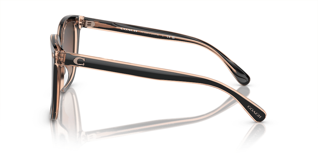 Coach HC8381U zonnebril zwart, transparant | Pearle Opticiens