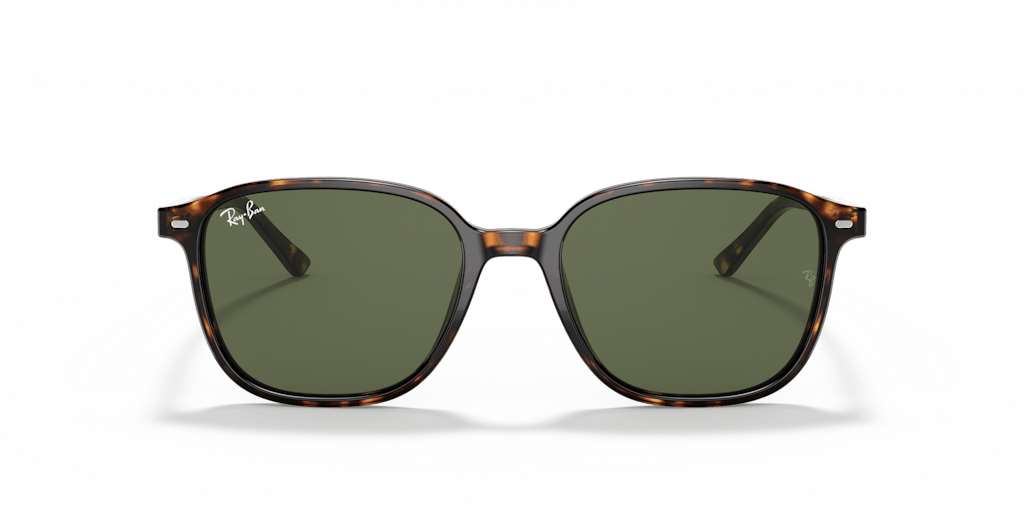 Ray-Ban Leonard RB 2193 (902/31) Sunglasses | Vision Express