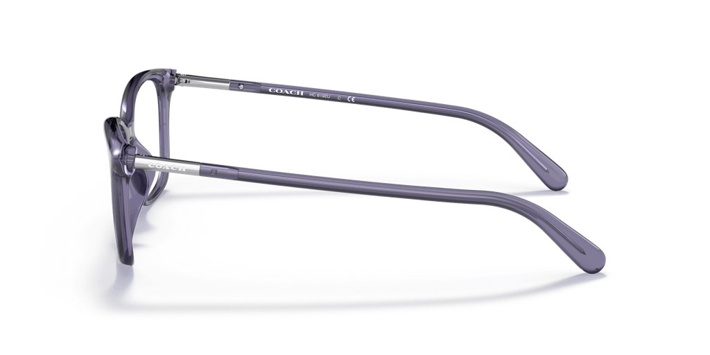 Coach 0HC6192U 5665 52/17 | Pearle Opticiens