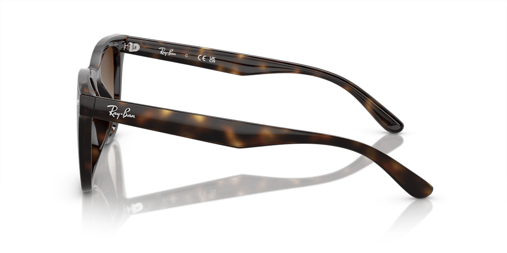 Ray-Ban Sunglasses - RB 4420 | Vision Express