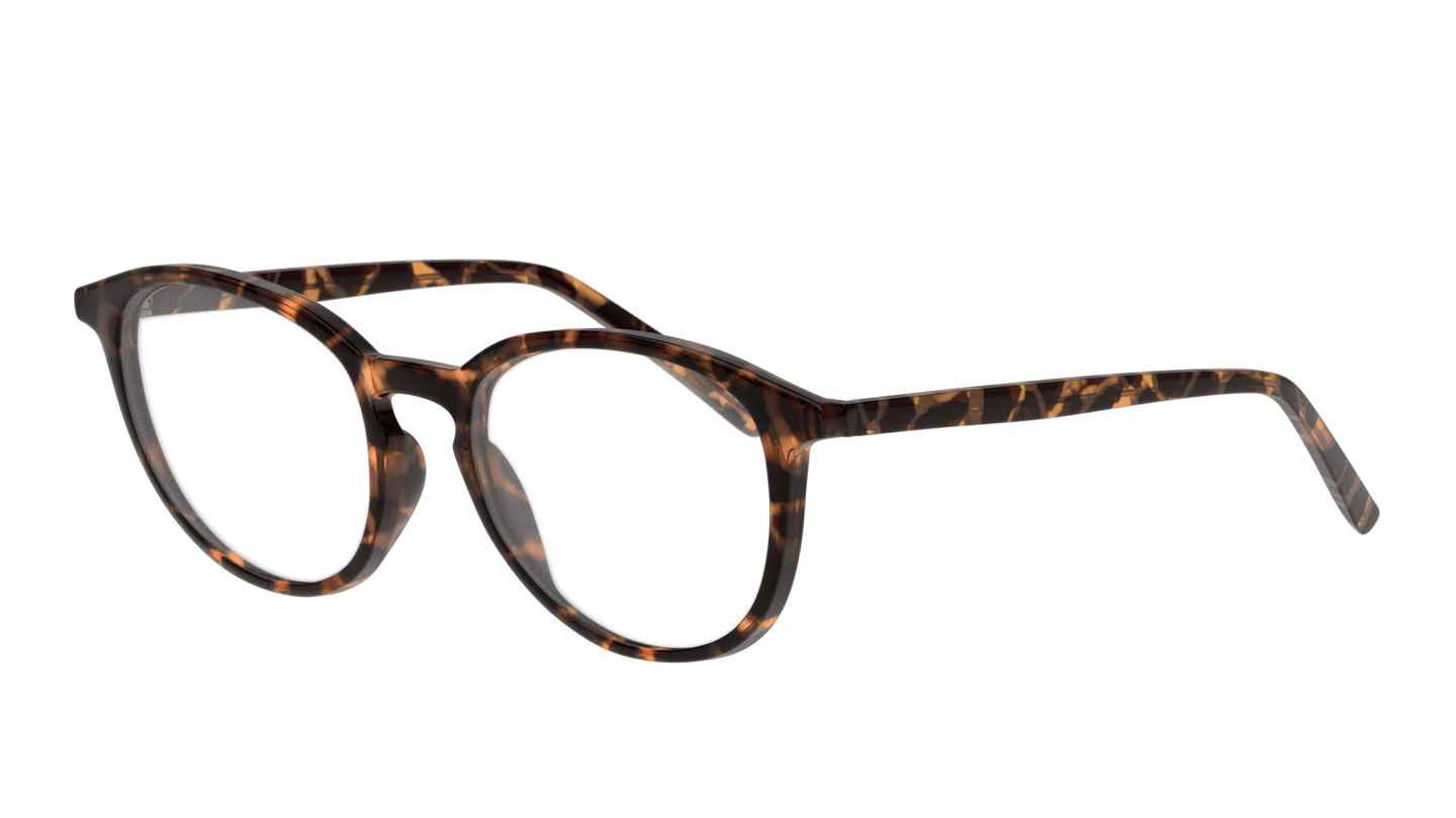 Seen Glasses - SNOF5003 | Vision Express