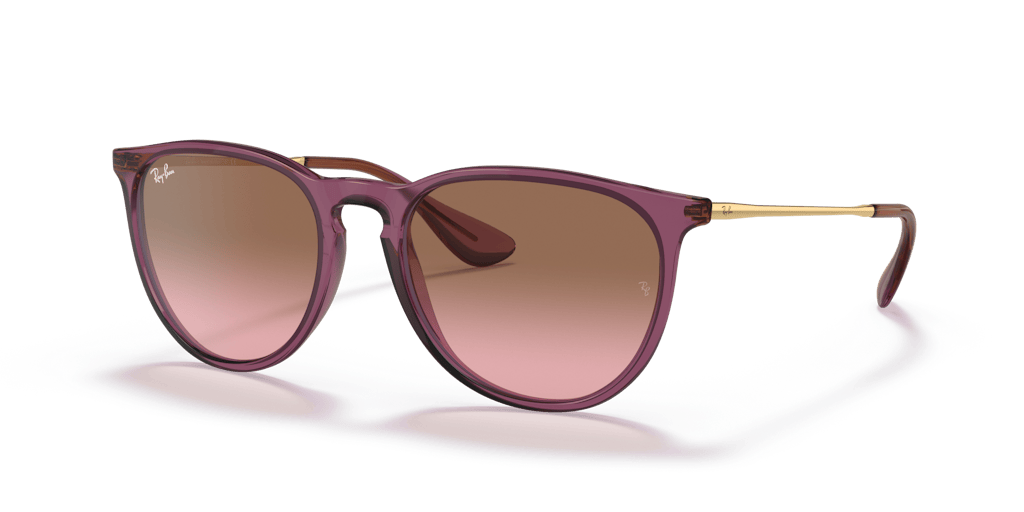 Ray-Ban RB4171 Erika Classic panto Sunglasses with Violet frame and ...