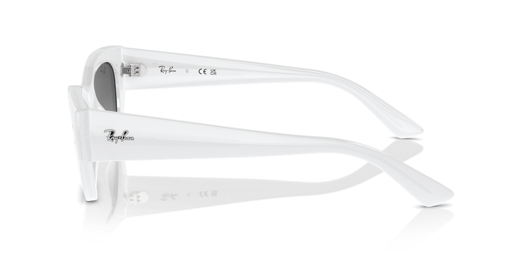 Ray-Ban Sunglasses - RB 4430 | Vision Express