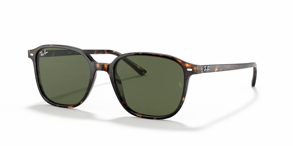Ray-Ban Leonard RB 2193 (902/31) Sunglasses | Vision Express