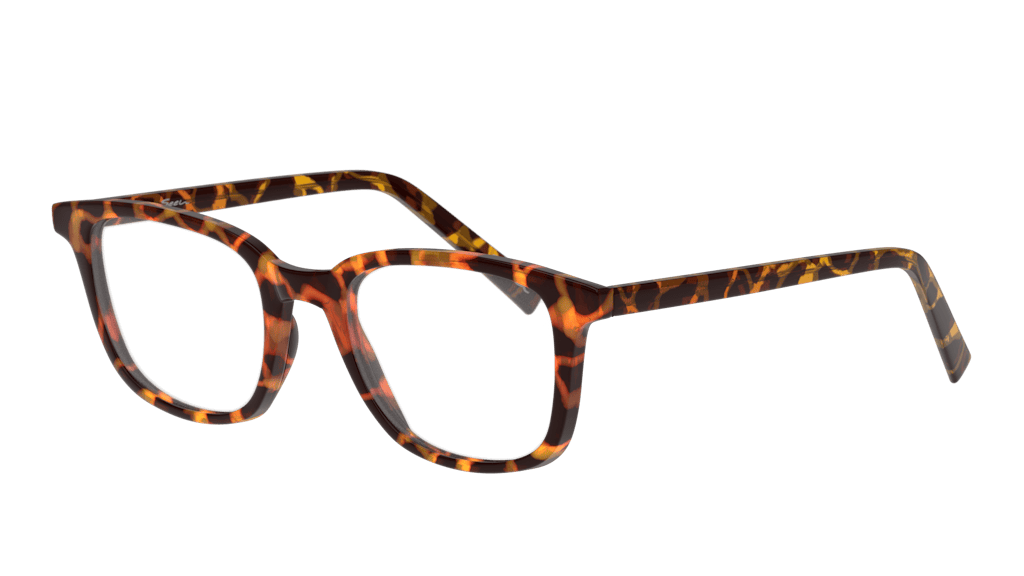 Seen Glasses - SNOF5009 | Vision Express