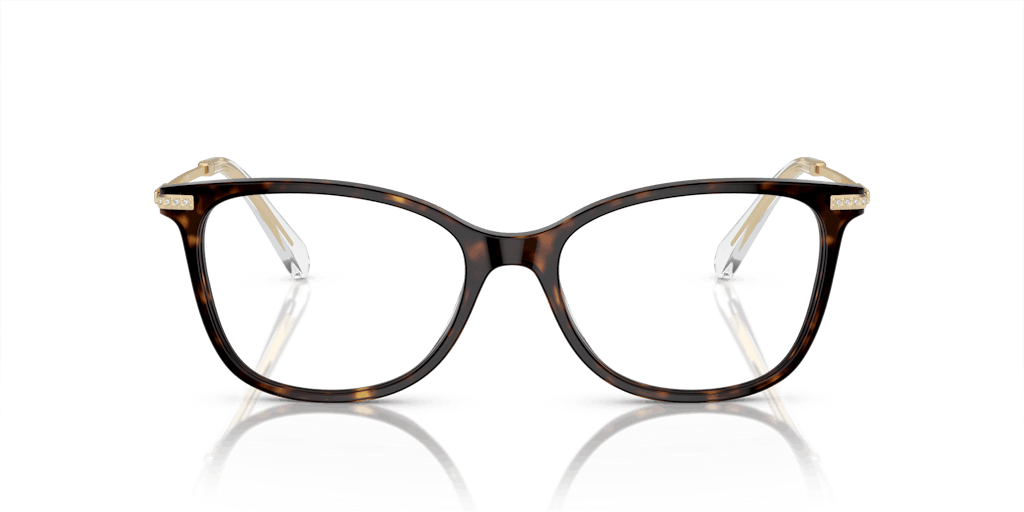 Swarovski Glasses - SK 2010 | Vision Express