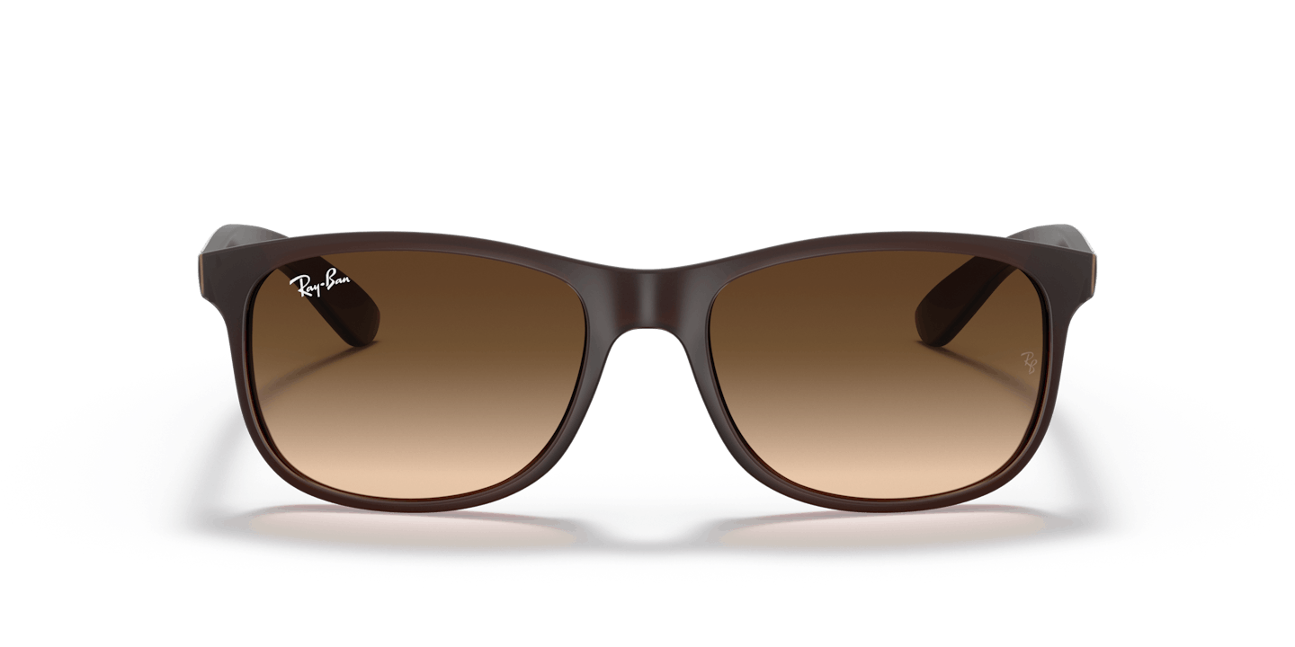 Ray-Ban Andy RB 4202 Black Sunglasses | Vision Express