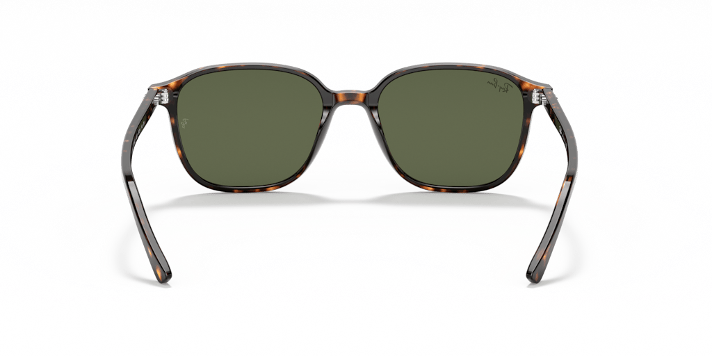 Ray-Ban Leonard RB 2193 (902/31) Sunglasses | Vision Express