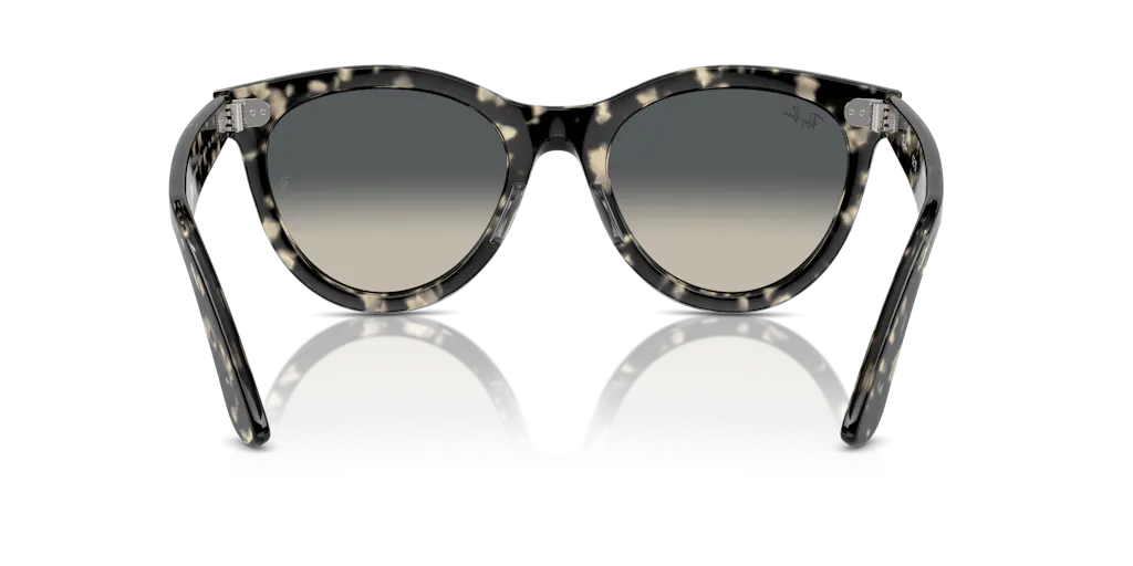 Ray-Ban Sunglasses - RB 2241 | Vision Express