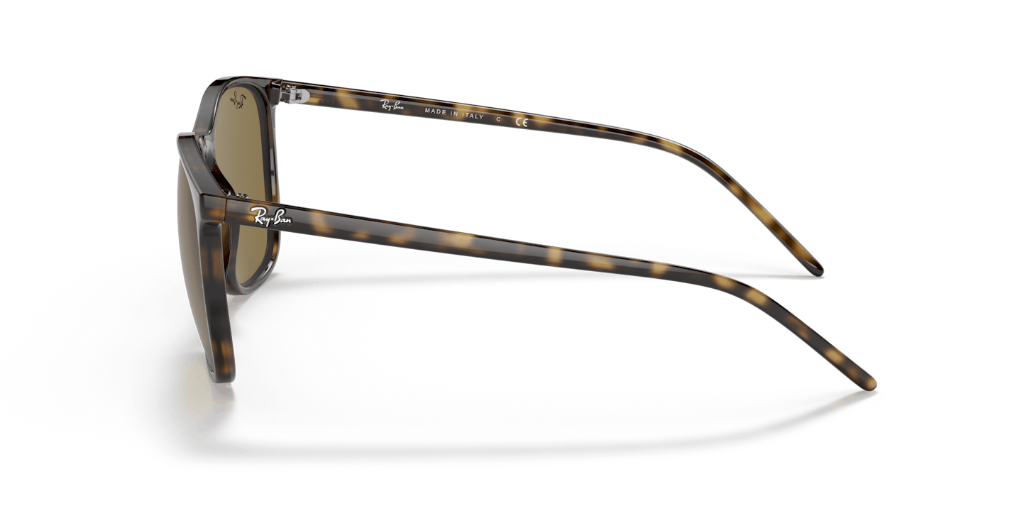 Ray-Ban RB 4387 Havana Sunglasses | Vision Express