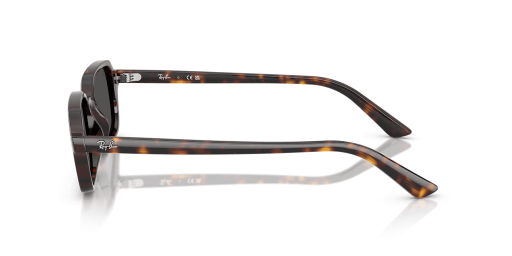 Ray-Ban Zuri Bio-Based RB4455 Sunglasses | Vision Express