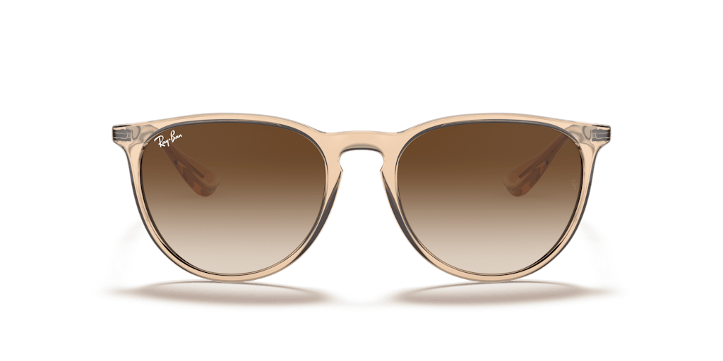 RAY-BAN Erika Color Mix RB4171 651413 | Générale d'Optique