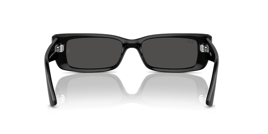 Ray-Ban Teru Bio-Based RB 4425 (667787) Sunglasses | Vision Express