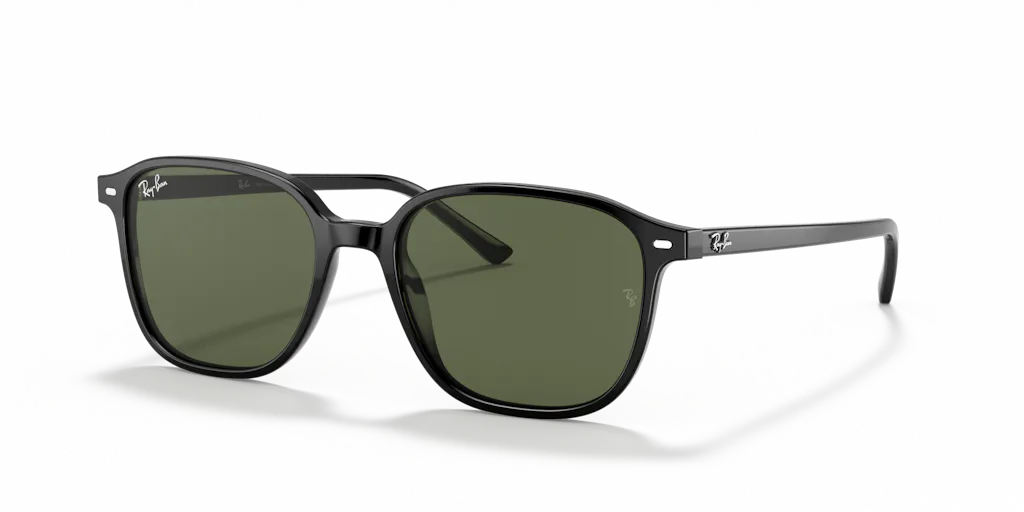 Ray-Ban Leonard RB 2193 (901/31) Sunglasses | Vision Express