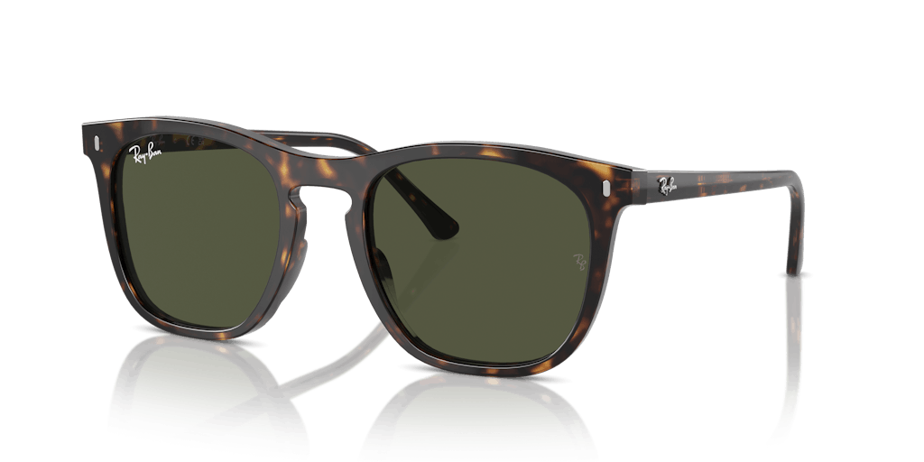 RAY-BAN RB2210 902/31 | Générale d'Optique