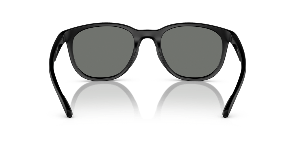 Native XD9042 90420254 Sunglasses | Vision Express