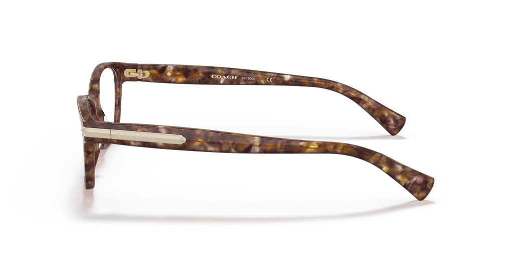 Coach Glasses - HC 6065 | Vision Express